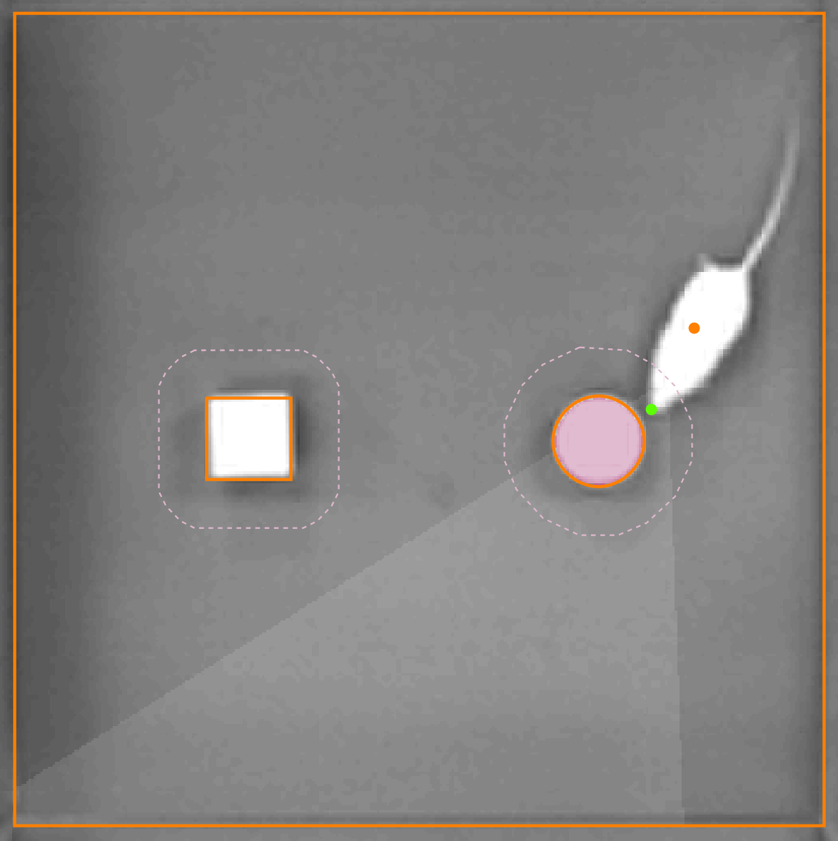 Novel Object Recognition Any Maze