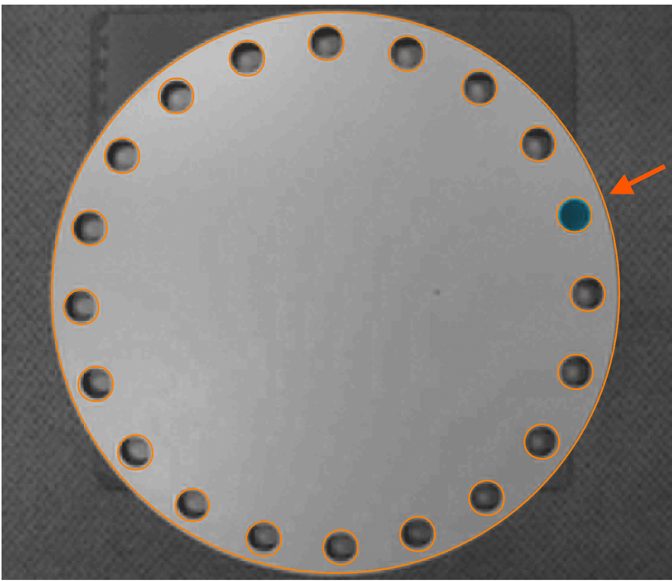 Setting up a Barnes Maze experiment in ANY-maze - ANY-maze