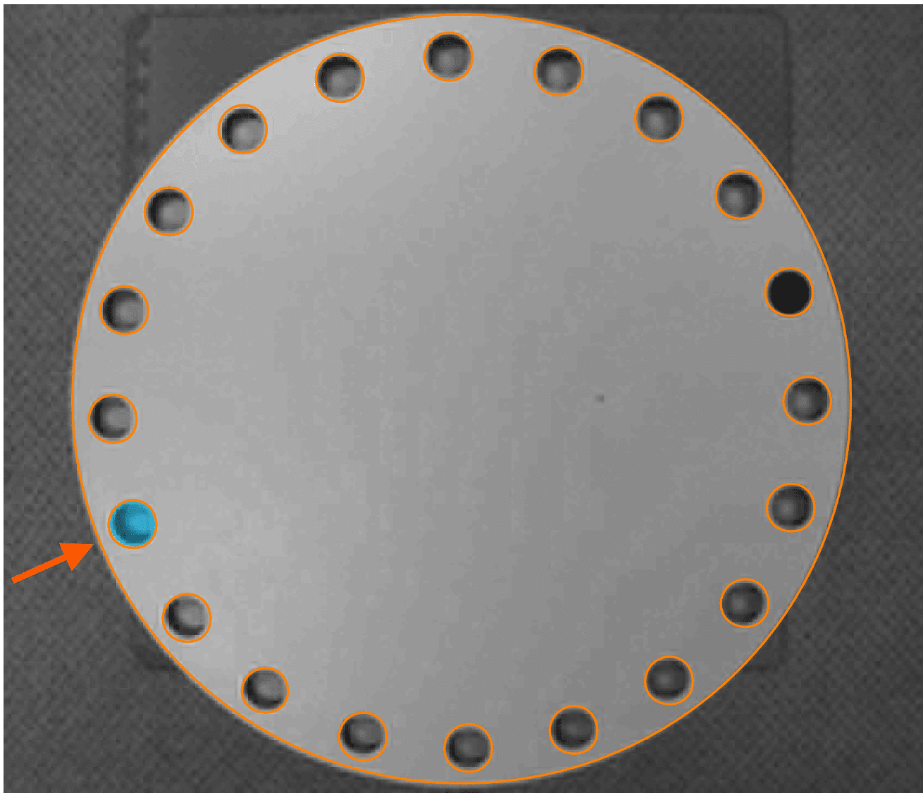 Setting up a Barnes Maze experiment in ANY-maze - ANY-maze